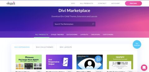 What is Divi? | Divimode