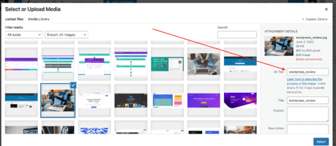 The Ultimate Guide To Using Images With Divi | Divimode