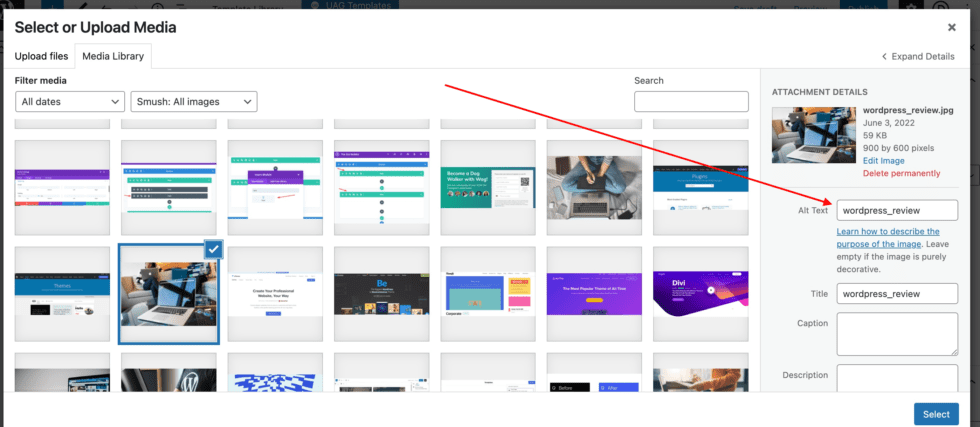 The Ultimate Guide To Using Images With Divi | Divimode