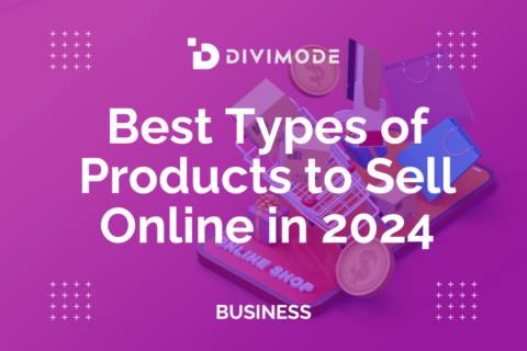 Best Types of Products to Sell Online in 2024 | Divimode